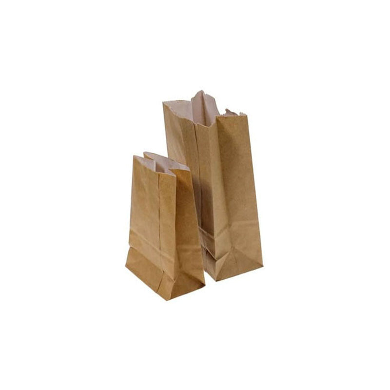 Brown Paper Bag Kraft Double Wall | Groupe LKG