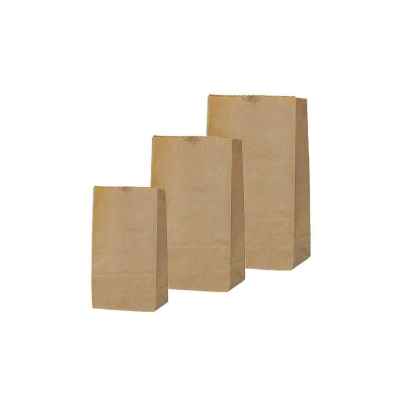 Kraft paper grocery bag - Eco friendly packaging